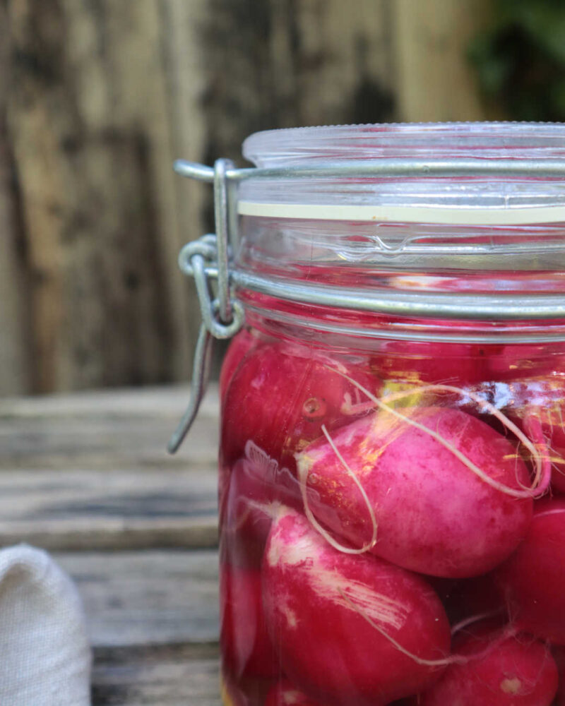 Radieschen fermentieren | Gesundes Rezept