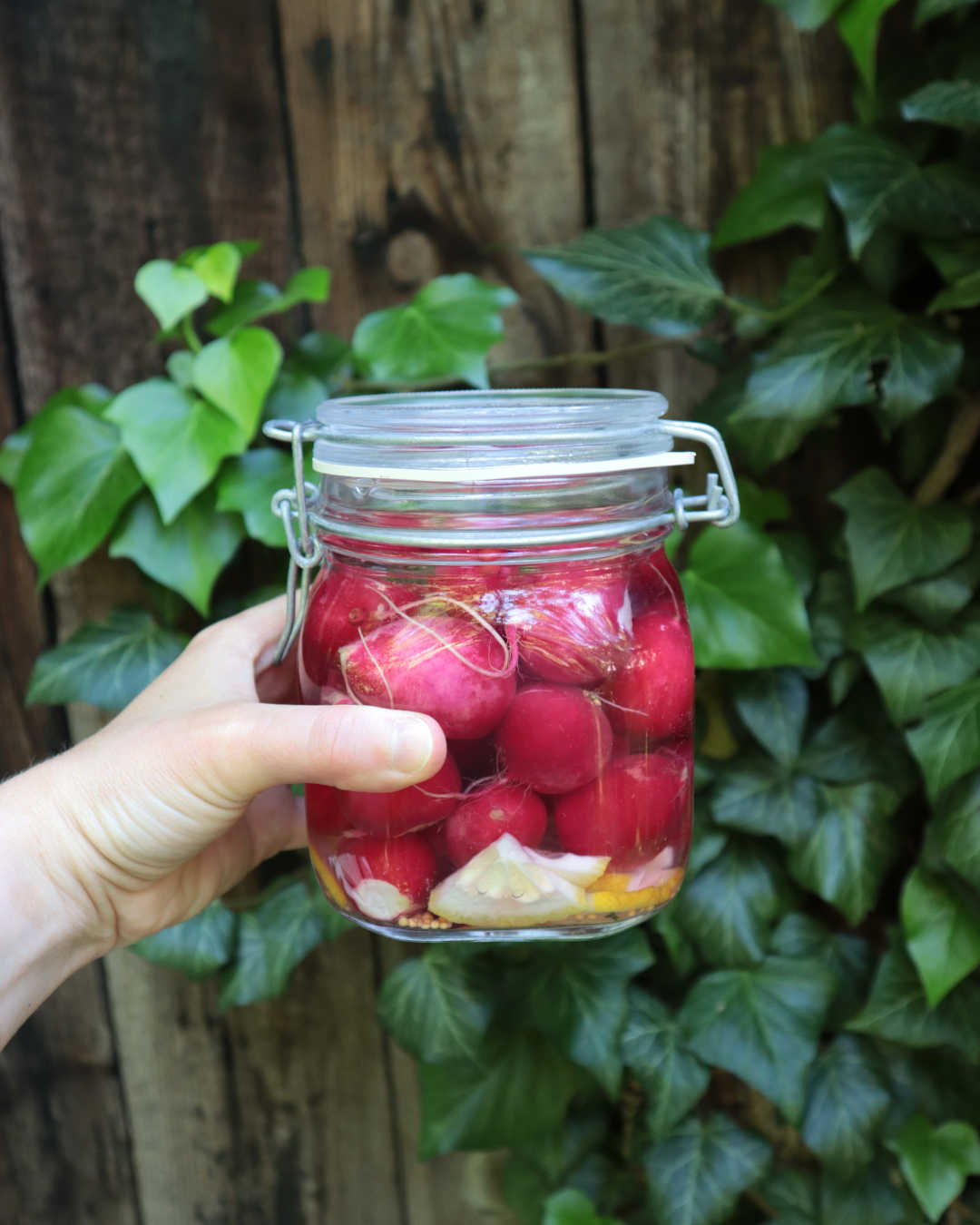 Radieschen fermentieren | Gesundes Rezept