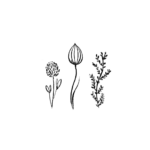 Der Zero Waste Laden | Inspiration für Zero Heroes!